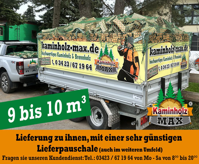 Kaminholz Max®1a Brennholz aus der Heimat - für die Heimat