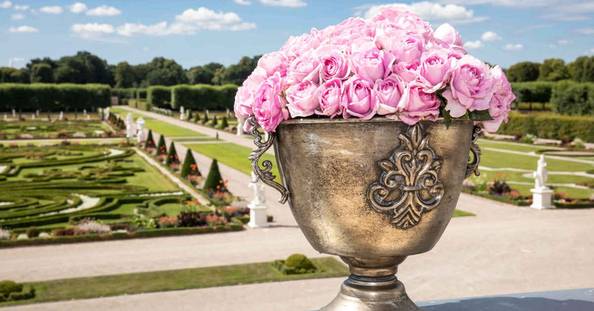 Welfen unter sich: Royale Blütenpracht im Großen Garten